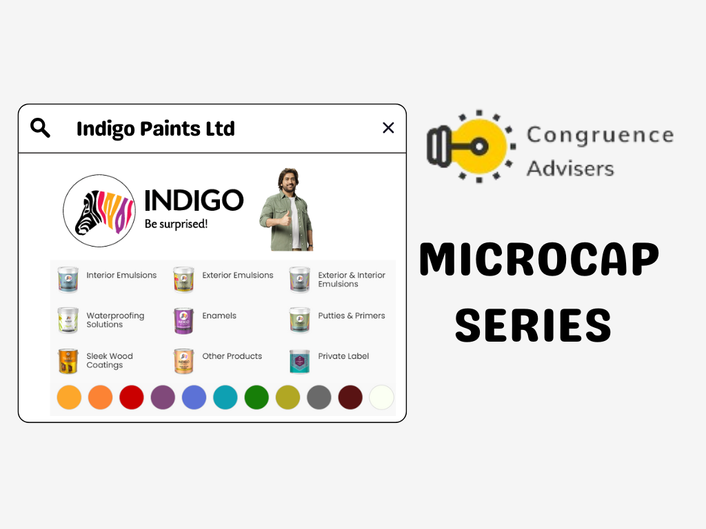 Indigo Paints Ltd Share: Hidden Gem or Overhyped?